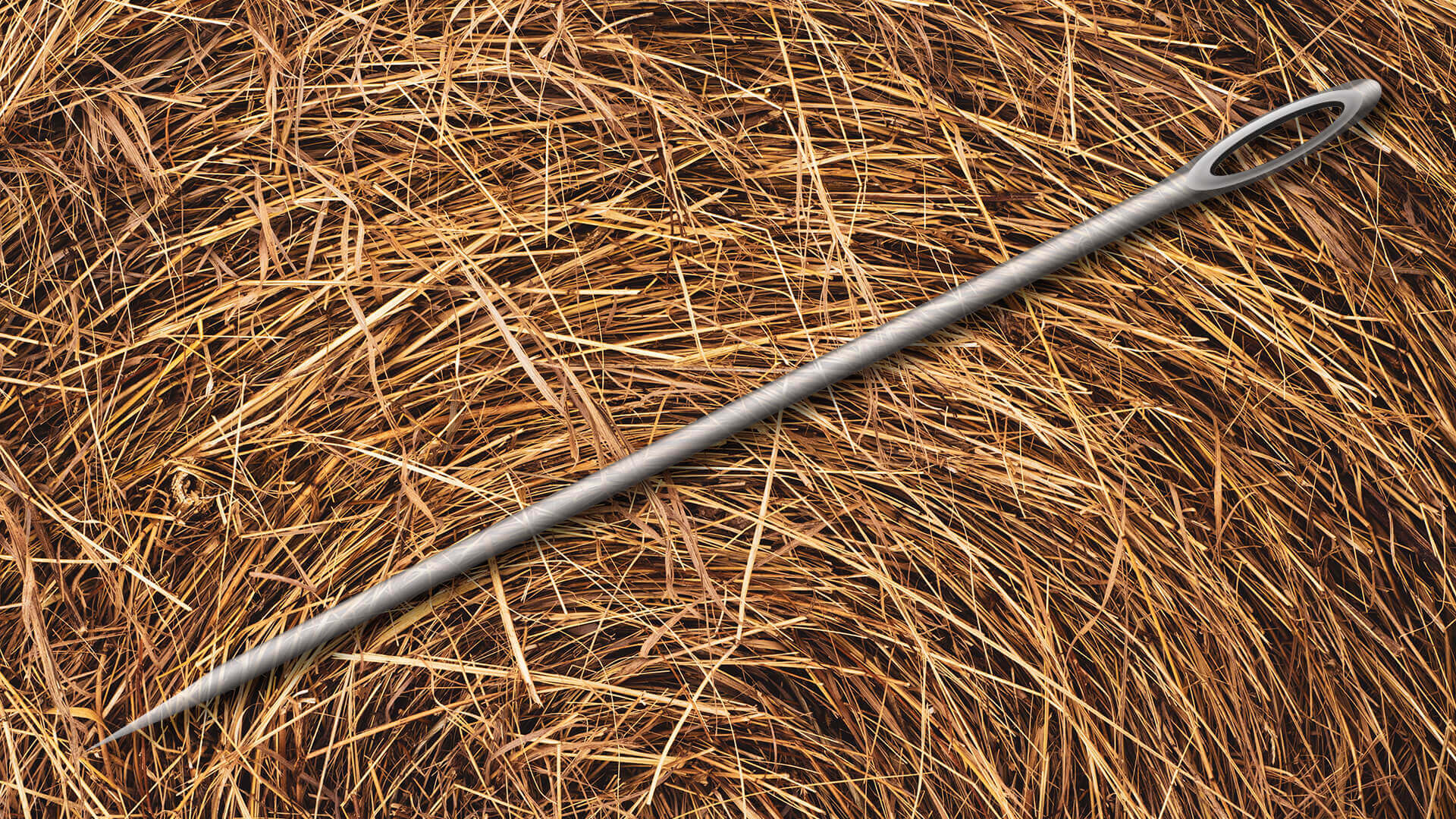 Finding the Needle in the Haystack: Process to Maximize Sales Leads - Accountability Information ...